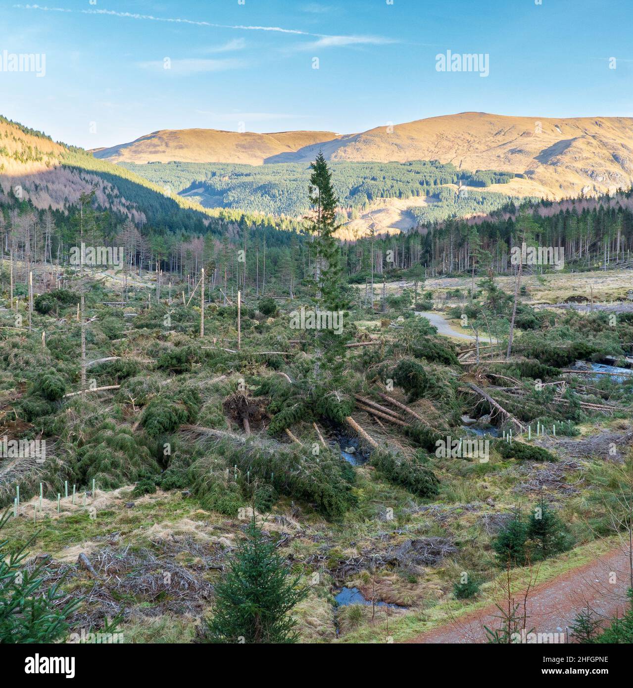 Glen Doll, Glen Clova, Angus, Scotland, UK, 16th of Jan 2022: Pictured ...