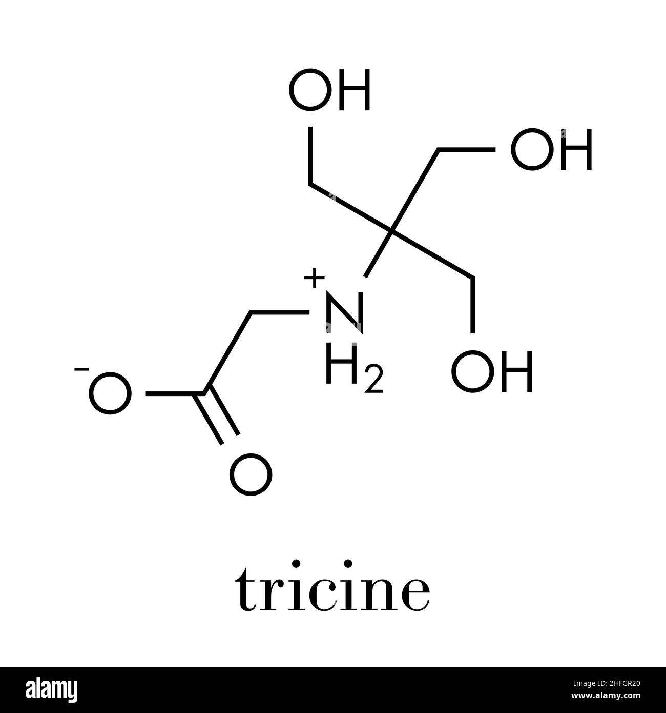 Tricine buffering agent molecule. Skeletal formula Stock Vector Image ...
