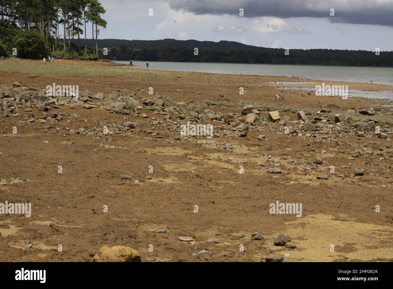 Mare aux vacoas is a gem hidden between lines hi-res stock photography ...