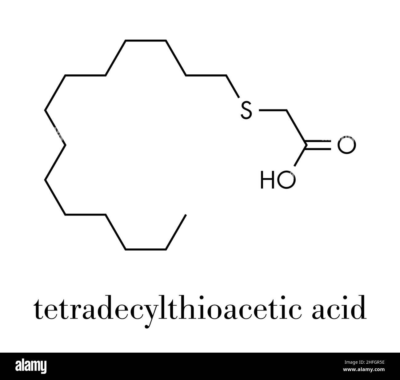 Tetradecylthioacetic acid (TTA) synthetic fatty acid molecule. Skeletal ...