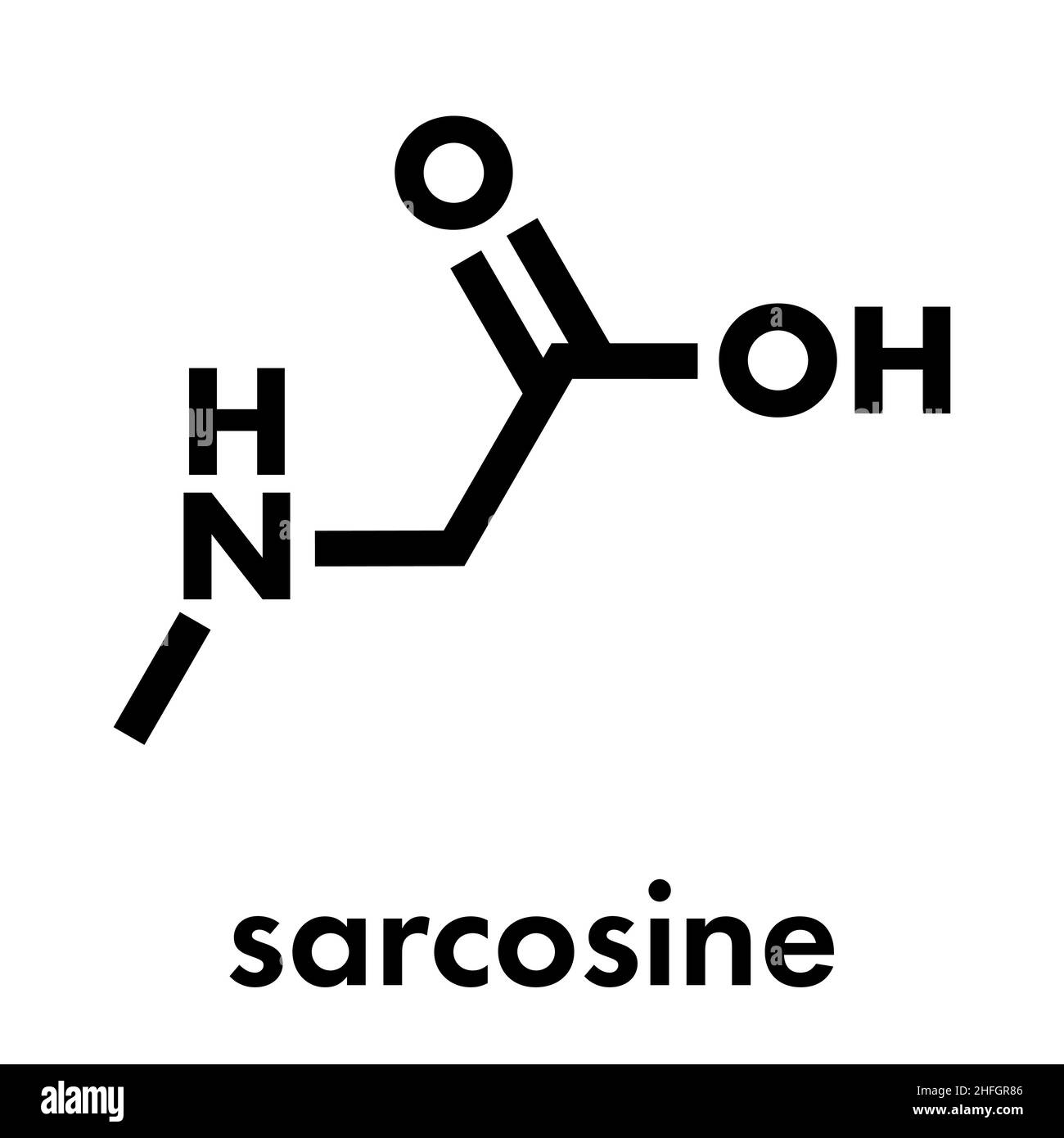 Sarcosinemia Stock Vector Images - Alamy