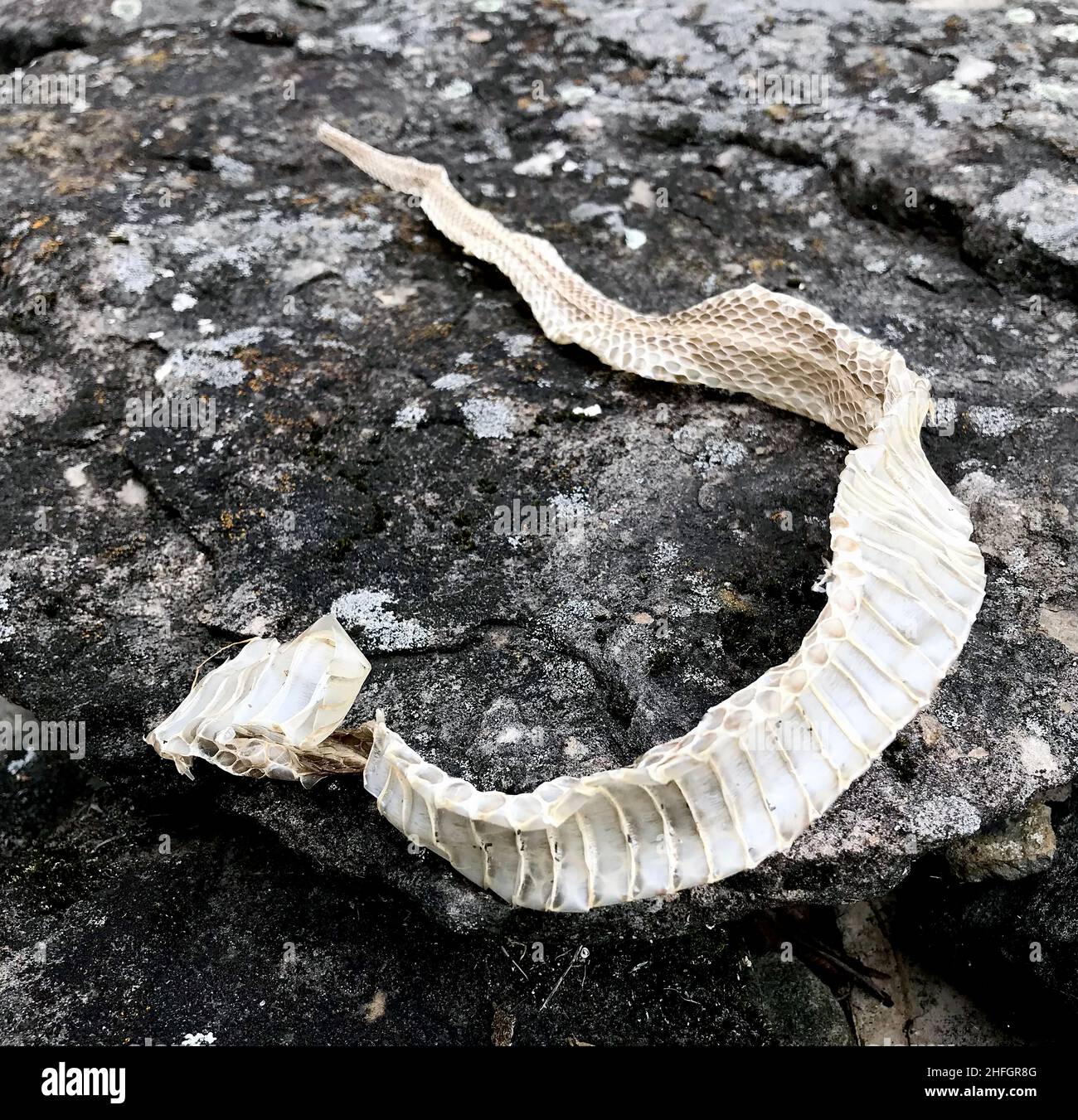 Skin peels hi-res stock photography and images - Alamy