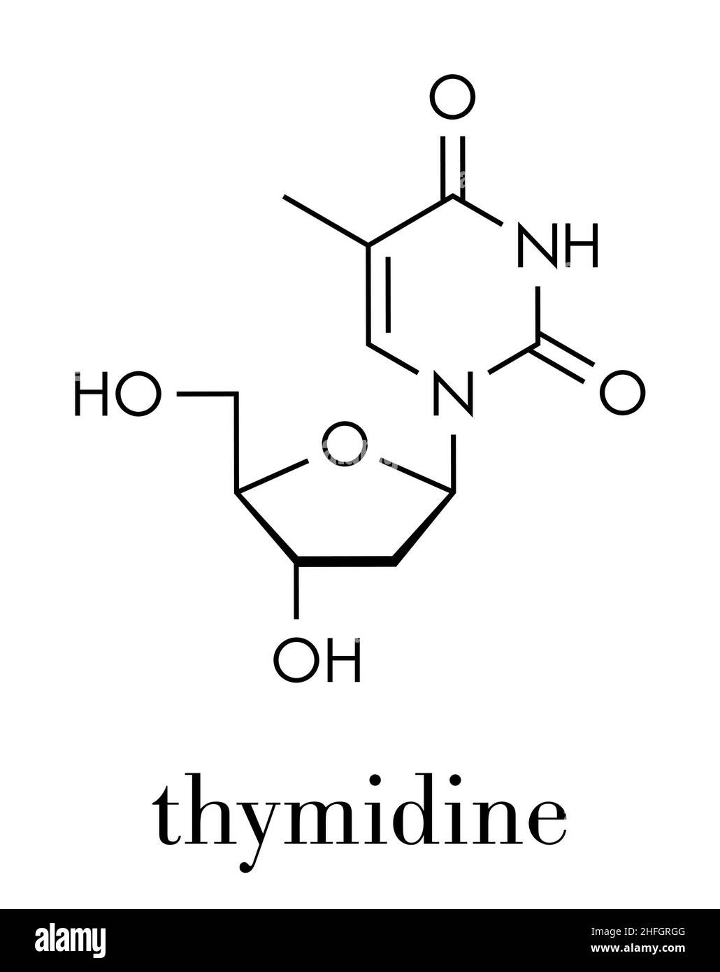 Thymidine Deoxythymidine Nucleoside Molecule Dna Building Block