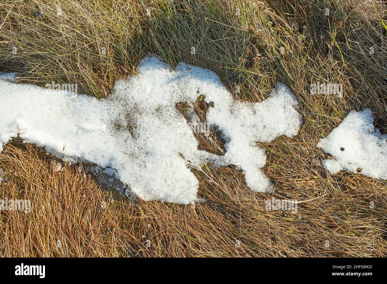 Close view yellow dry grass hi-res stock photography and images - Alamy