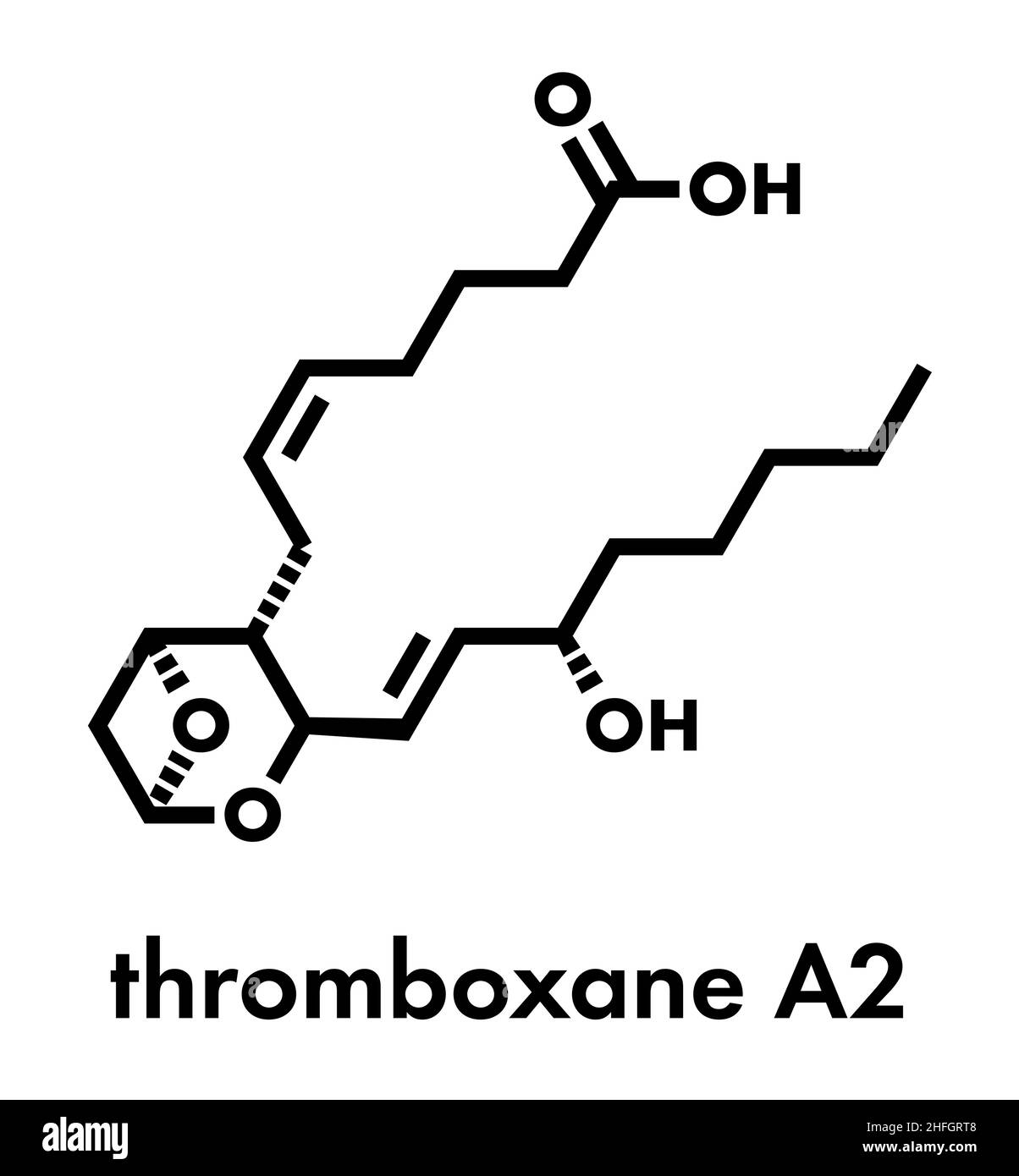 Thromboxane A2 (TXA2) molecule. Skeletal formula Stock Vector Image ...