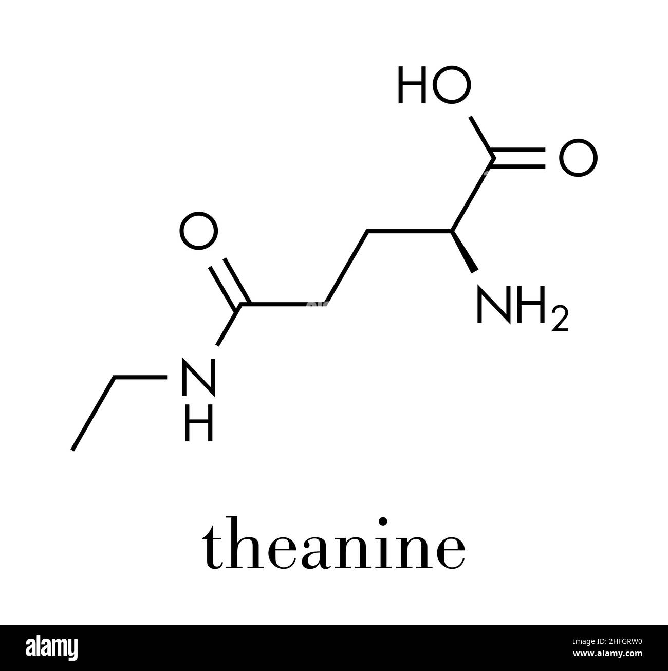 Theanine herbal molecule. Constituent of tea prepared from Camellia ...