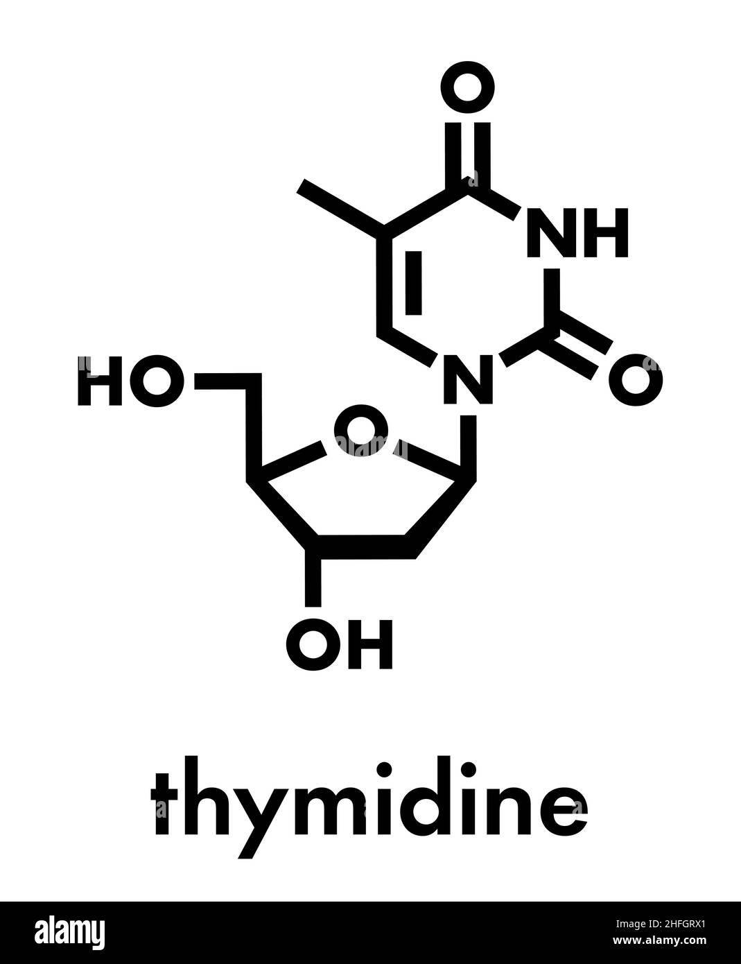 Deoxythymidine Triphosphate
