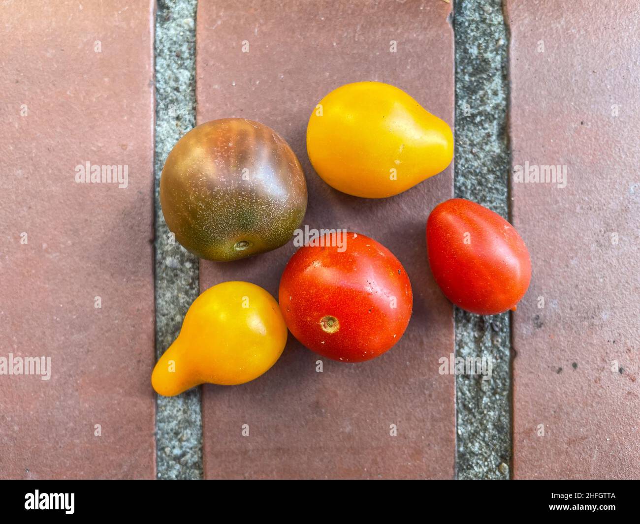 Tomato is the edible berry of the plant Solanum lycopersicum, commonly ...