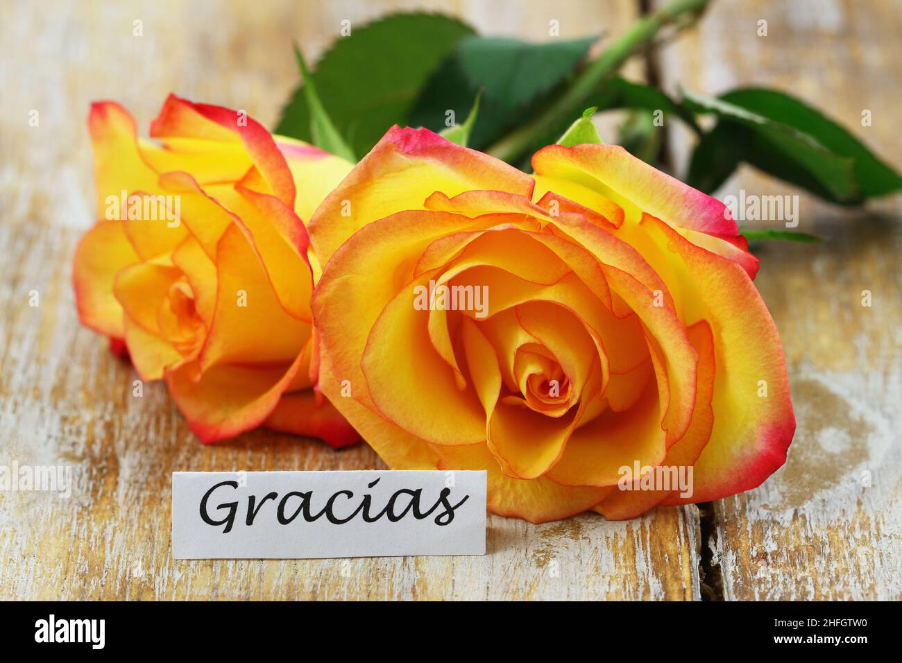 Thank you note with rose hi-res stock photography and images - Alamy