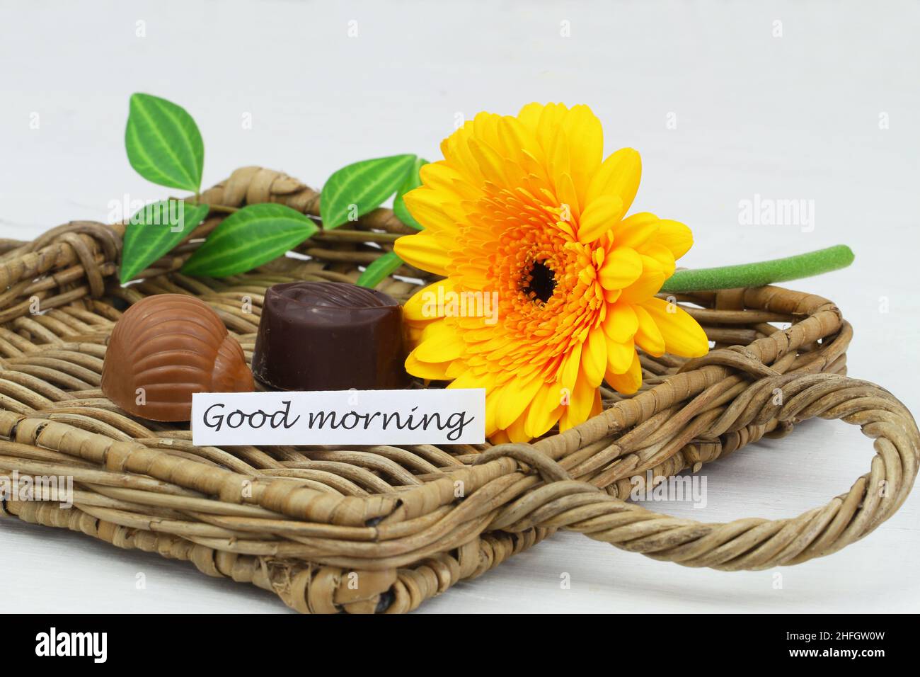 Good morning card with two creamy chocolates and yellow gerbera daisy ...