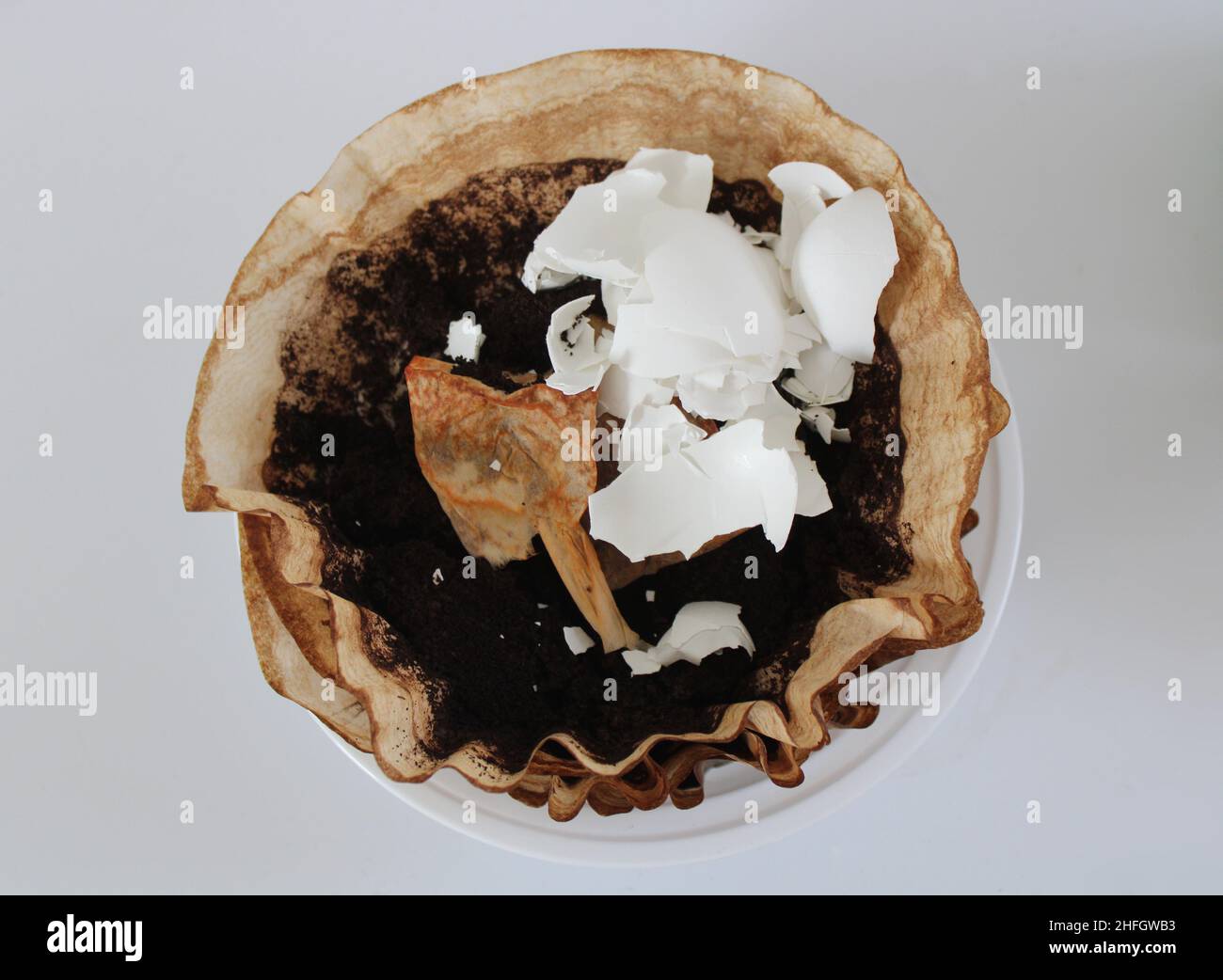 Egg Shells, Tea Bags and Coffee Grounds for Composting Stock Photo - Alamy