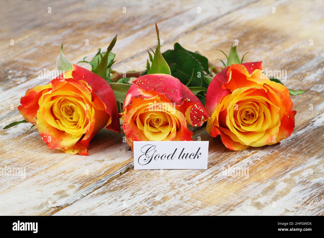 Good luck card with three colorful roses sprinkled with glitter on ...