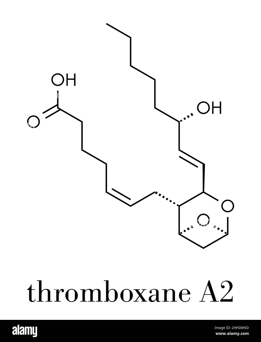 Thromboxane A2 (TXA2) molecule. Skeletal formula Stock Vector Image ...