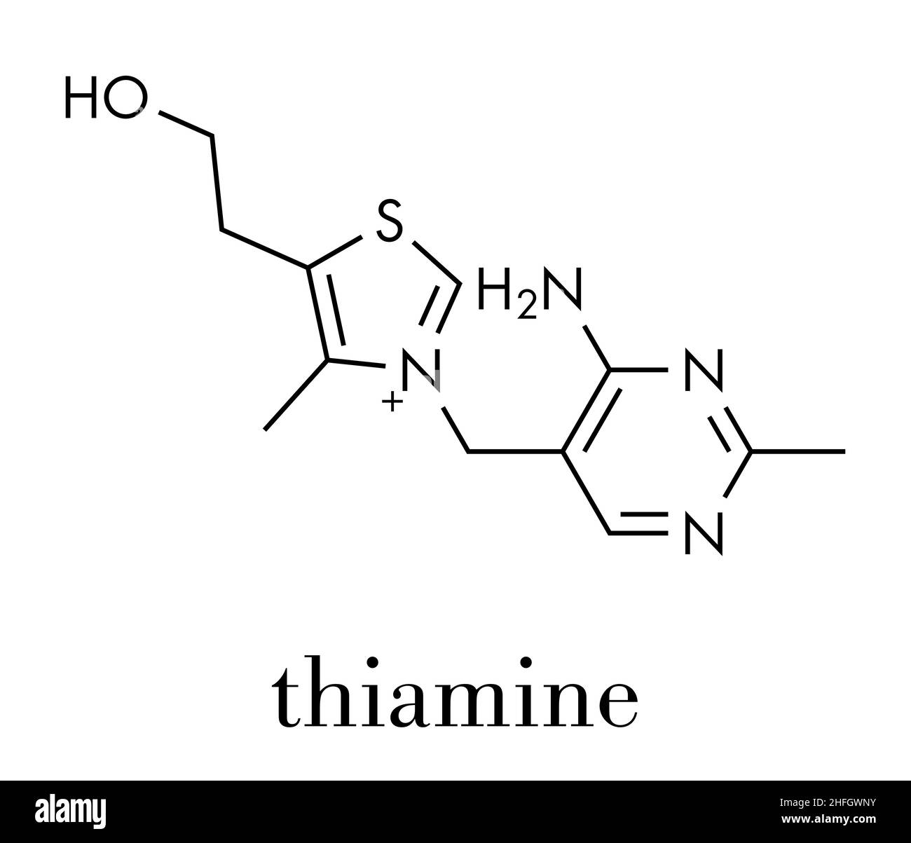 Thiamine triphosphate molecule. Skeletal formula Stock Vector Image ...