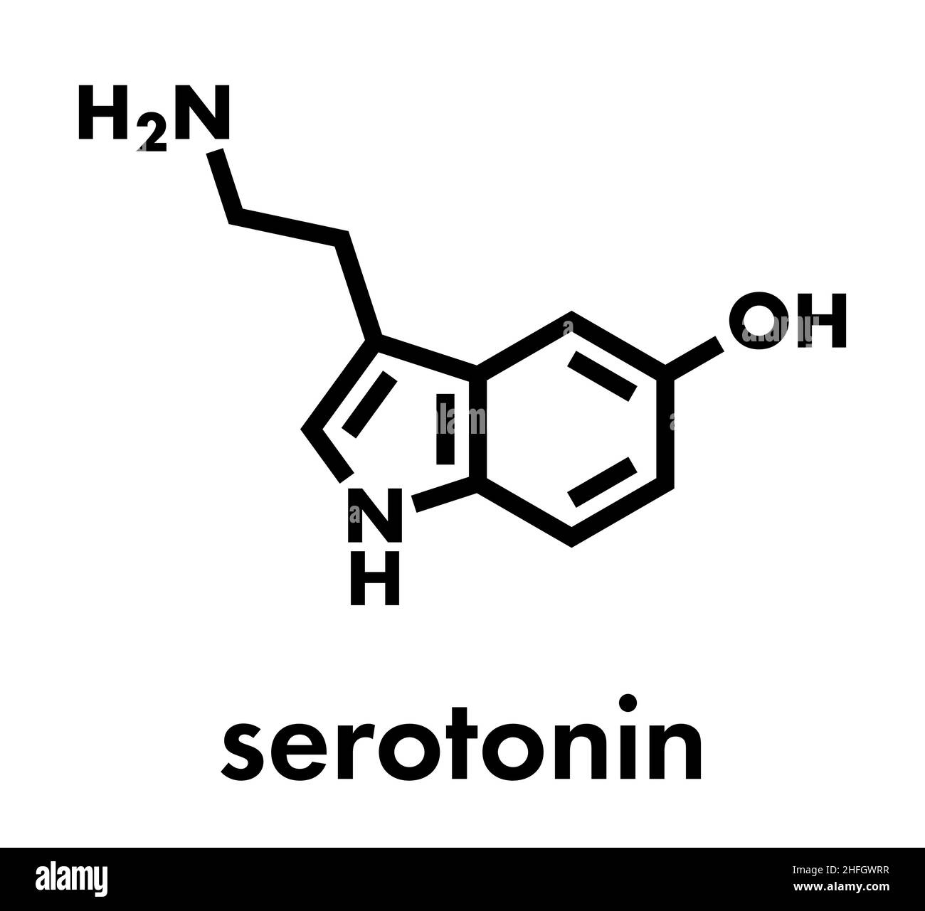 Serotonin neurotransmitter molecule. Skeletal formula Stock Vector ...