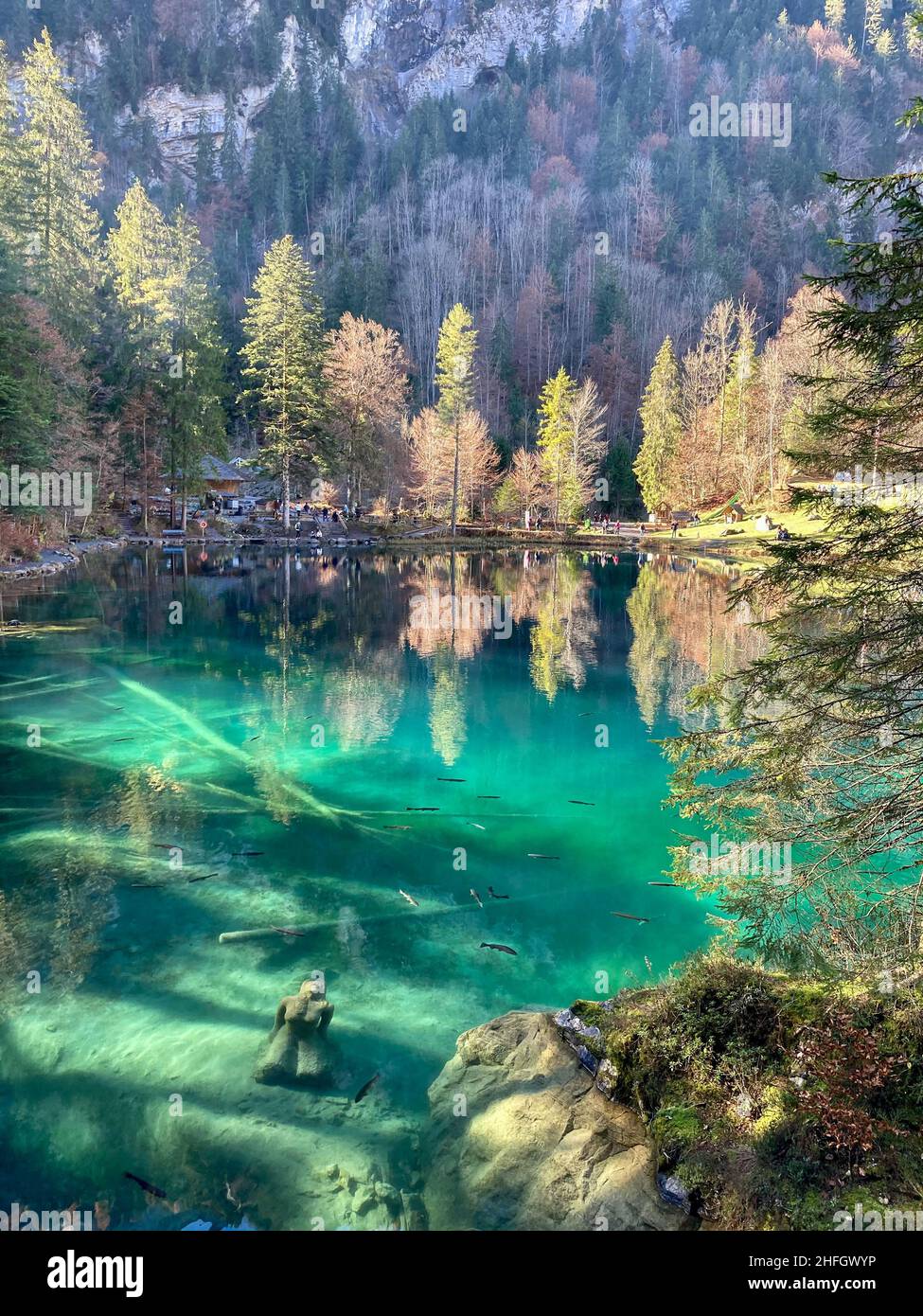 View to the Blausee Lake in Switzerland Stock Photo - Alamy