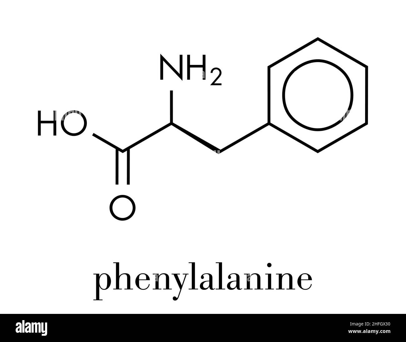Phenylalanine (l-phenylalanine, Phe, F) amino acid molecule. Skeletal ...