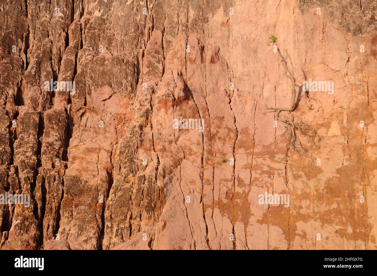 Alter do Chão,Pará,Brasil.Detail of the cliff wall on the banks of the ...