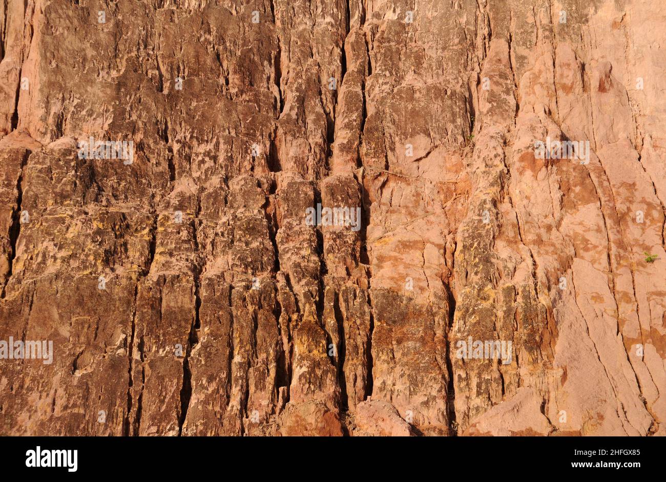 Alter do Chão,Pará,Brasil.Detail of the cliff wall on the banks of the ...