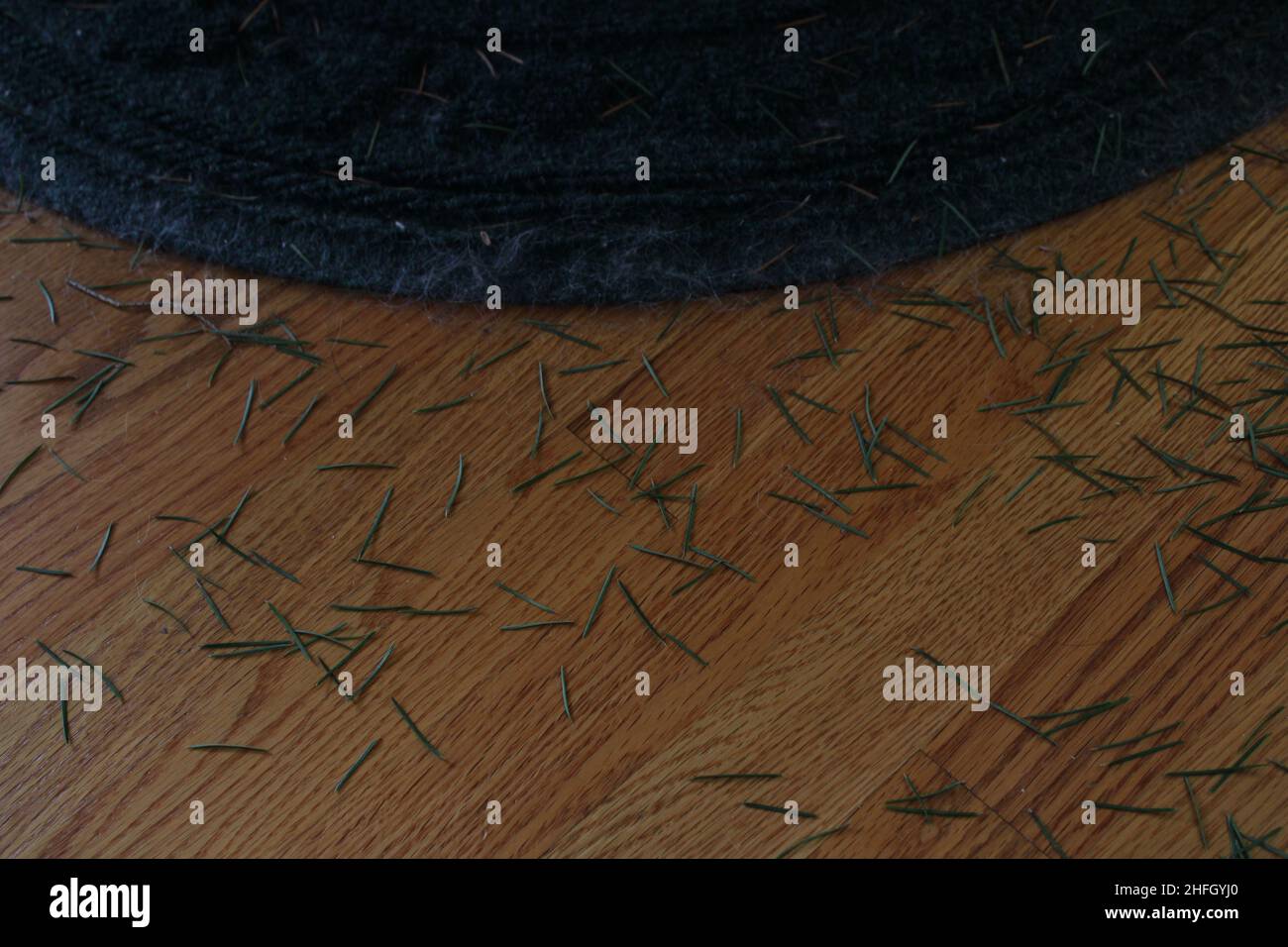 Pine Needles Scattered on an Interior Floor Stock Photo - Alamy