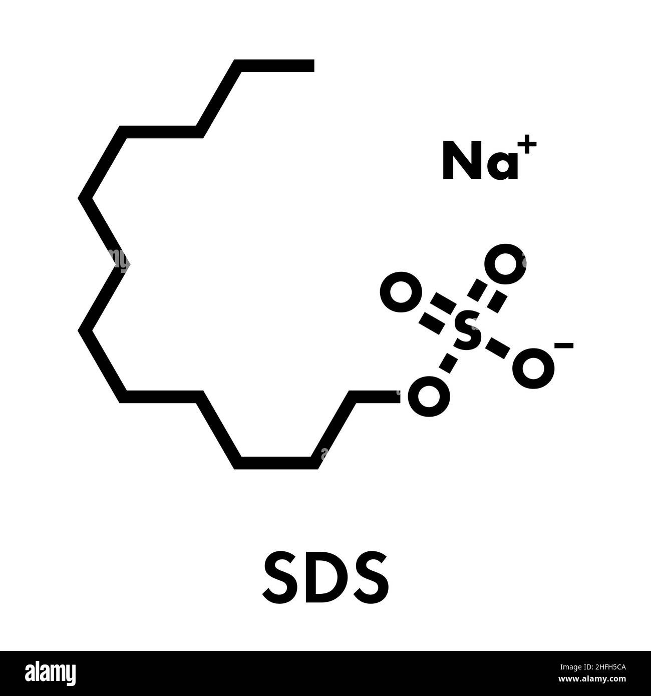 Sodium Dodecyl Sulfate In Sds Page at Frank Keith blog