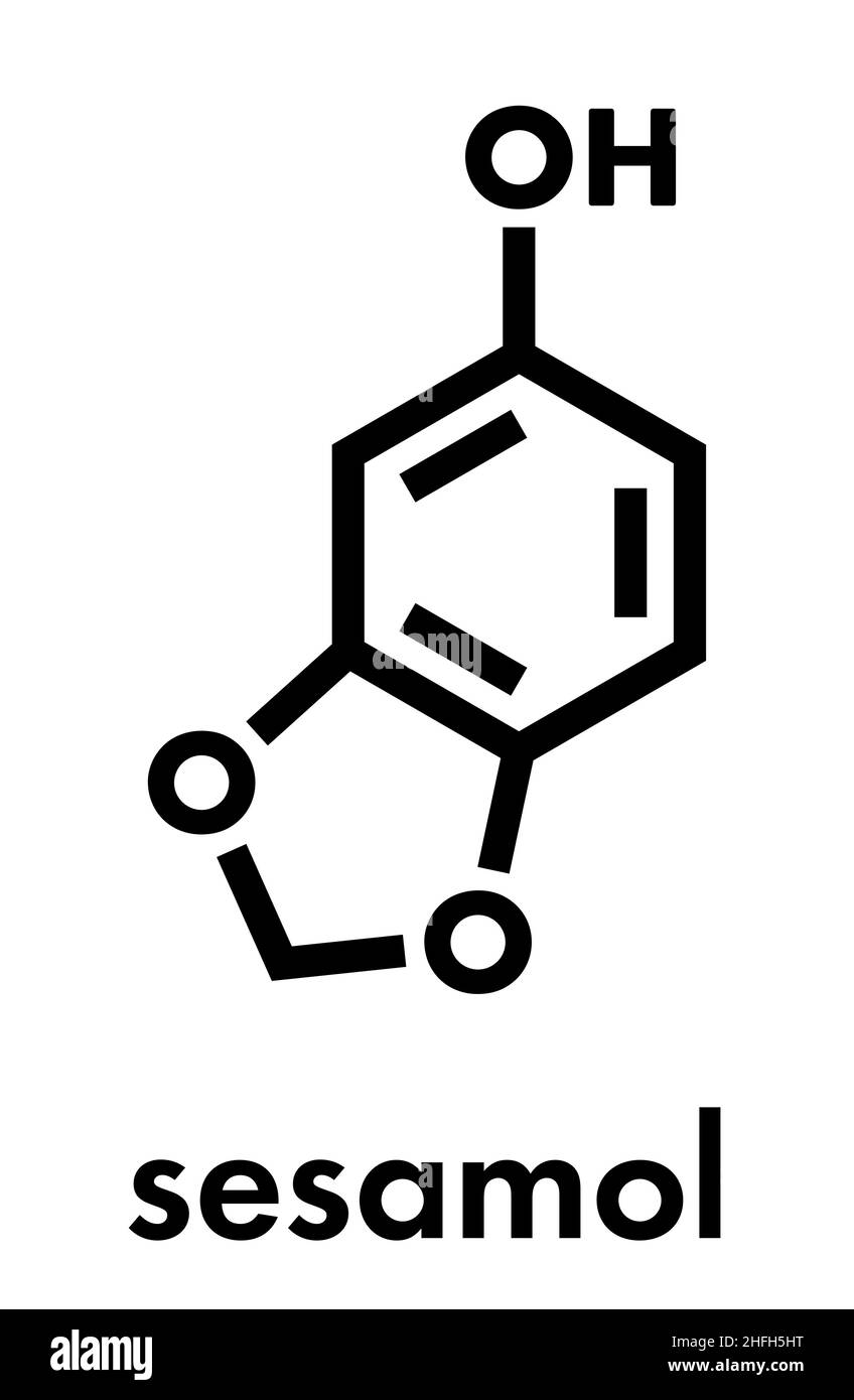 Sesamol herbal molecule. Present in sesame oil. Skeletal formula Stock ...