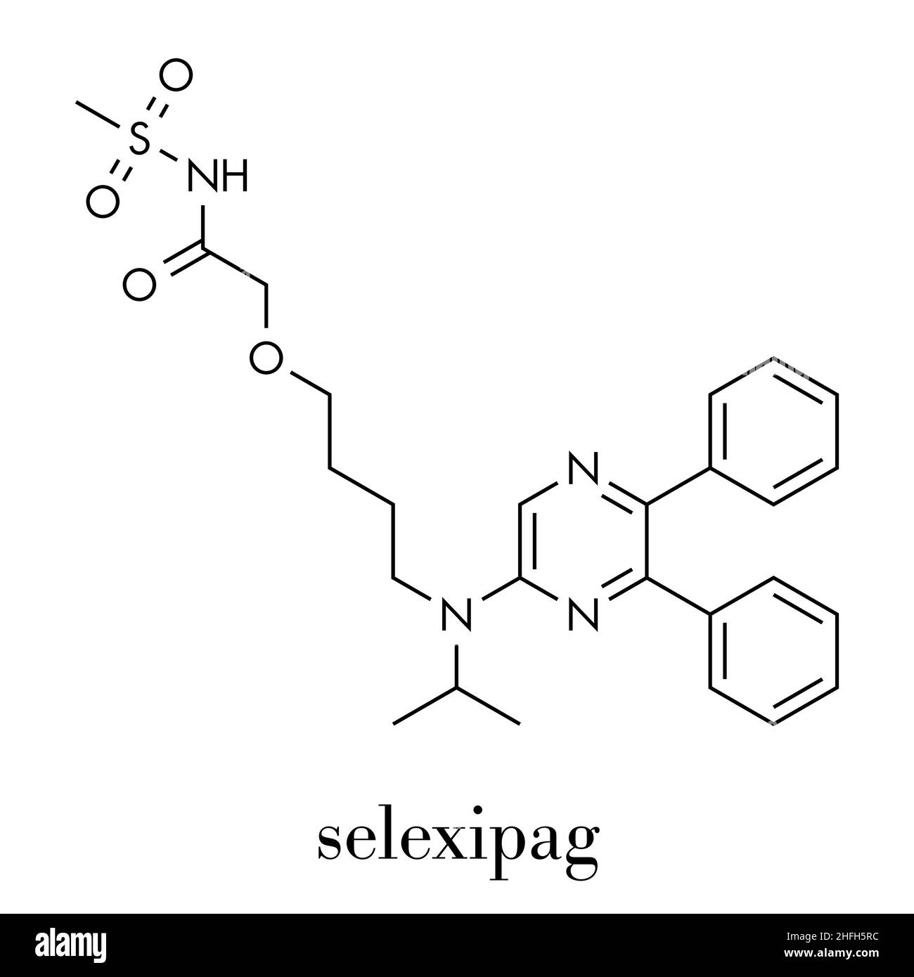 Pulmonary circulation Black and White Stock Photos & Images - Alamy