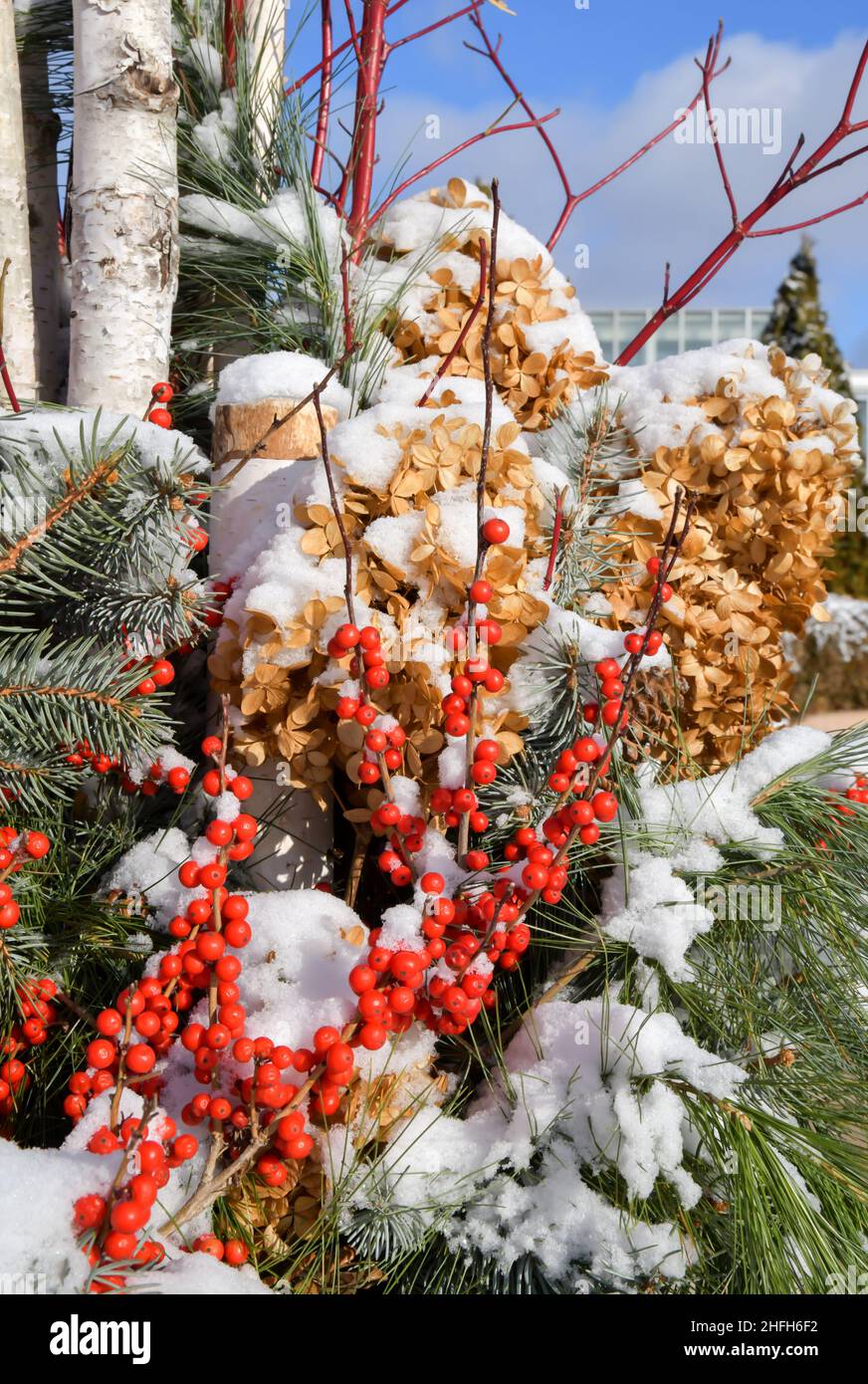 Seasonal Christmas Holiday decorations in Winter Stock Photo - Alamy