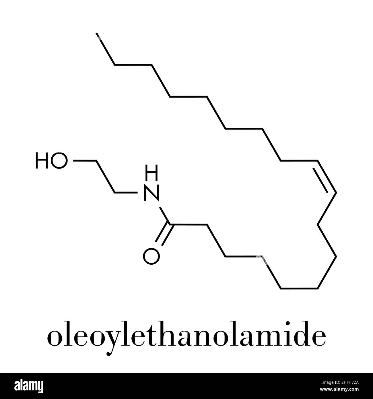 Structure of peroxisome hi-res stock photography and images - Alamy