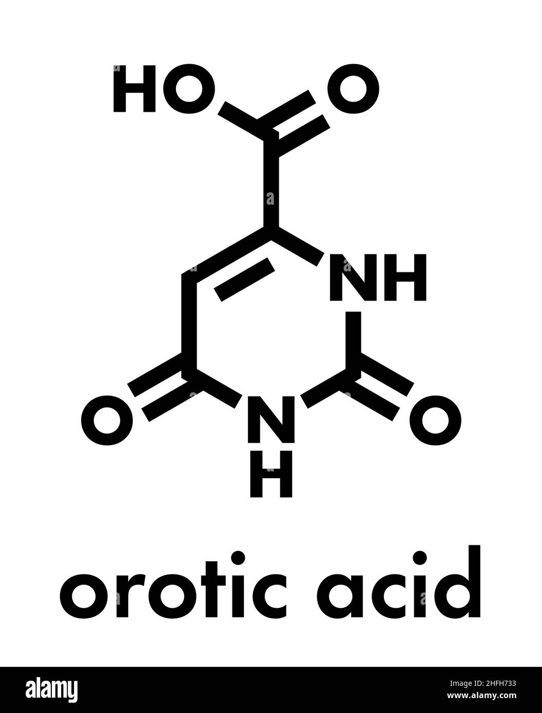Orotic acid molecule. Skeletal formula Stock Vector Image & Art - Alamy