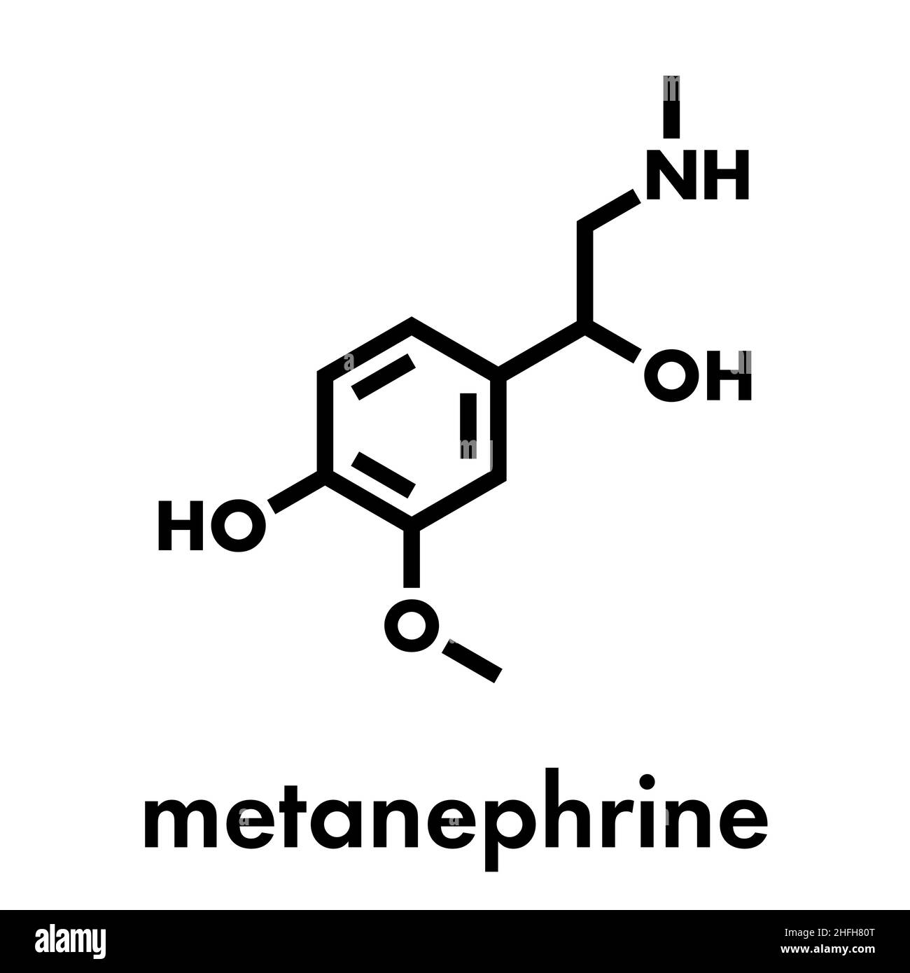 Metanephrine (metadrenaline) molecule. Metabolite of epinephrine that ...
