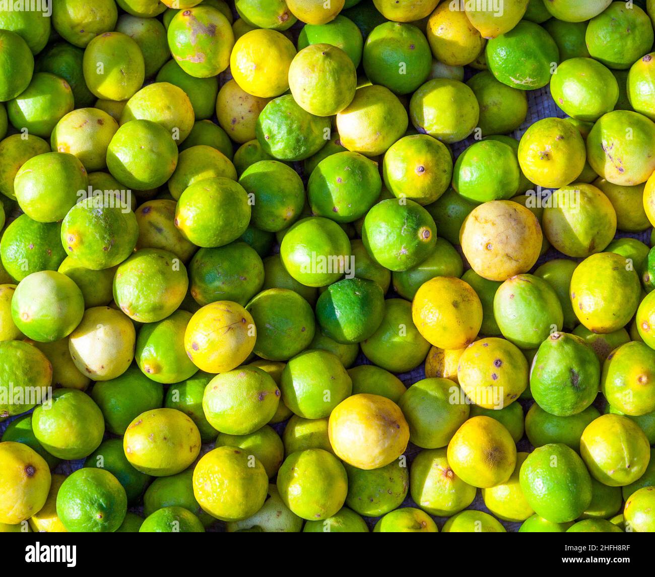 Native green lime fruits in indian market Stock Photo - Alamy