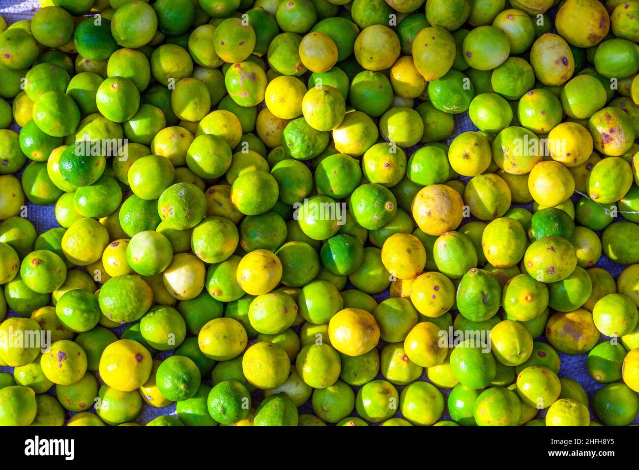 Indian native fruits hi-res stock photography and images - Alamy