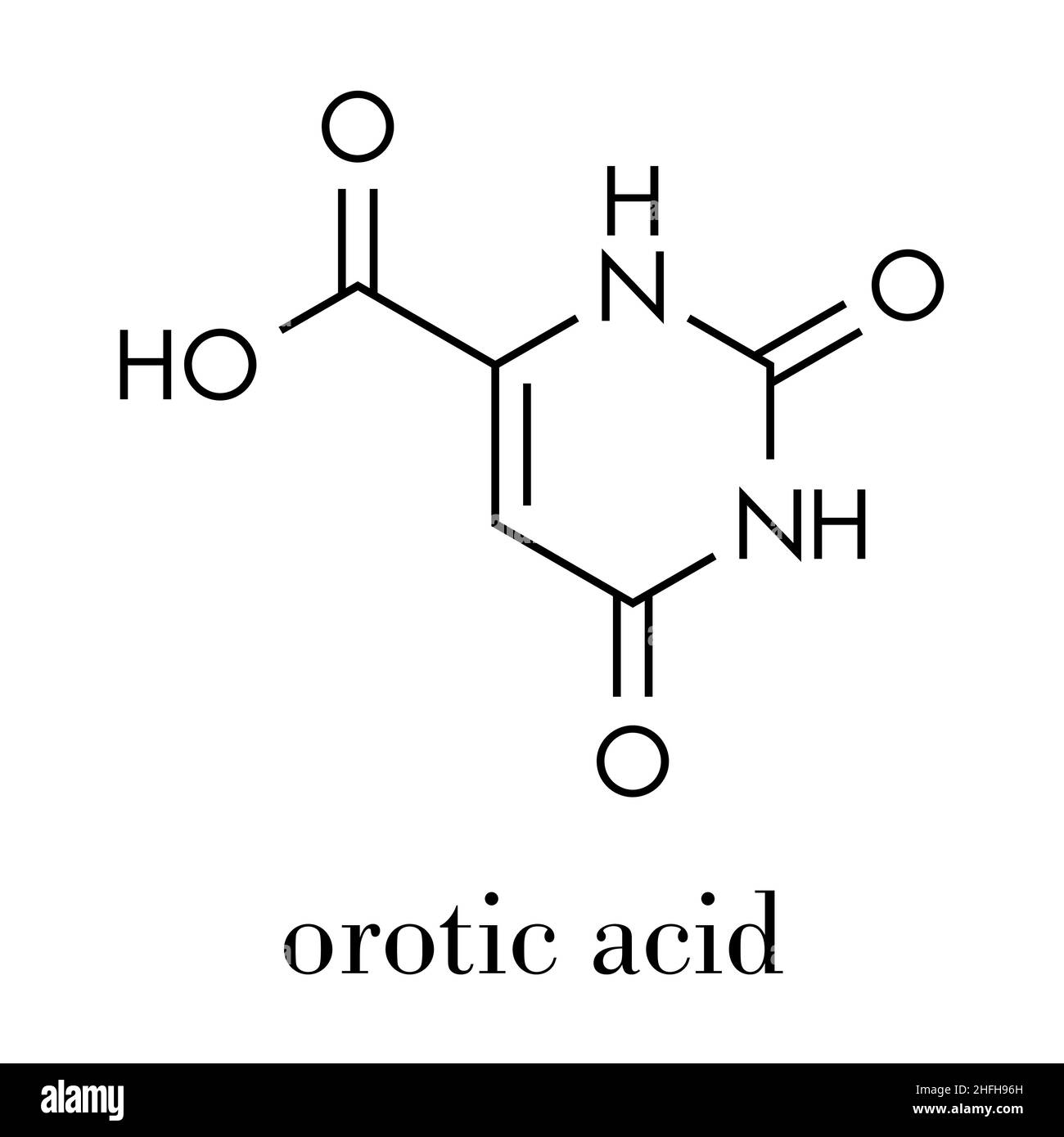 Orotate Stock Vector Images - Alamy