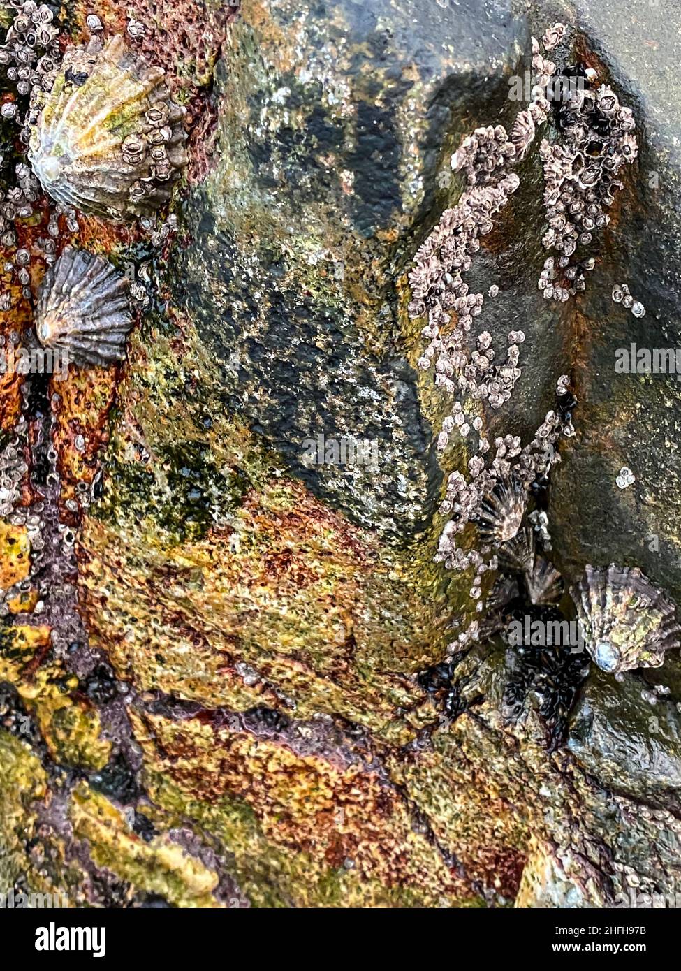 Banff links scotland hi-res stock photography and images - Alamy