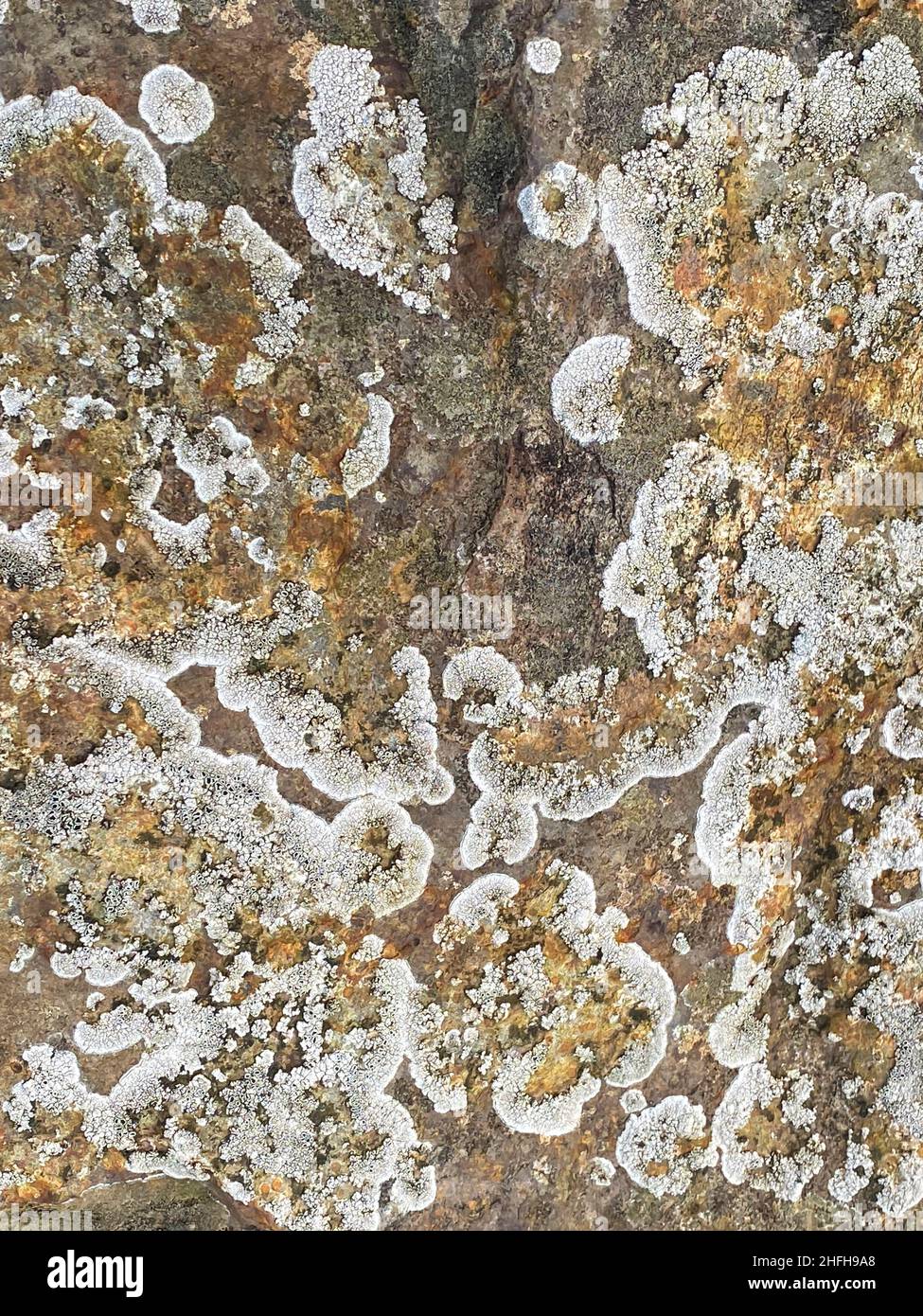 banff coast aberdeenshire scotland Stock Photo - Alamy