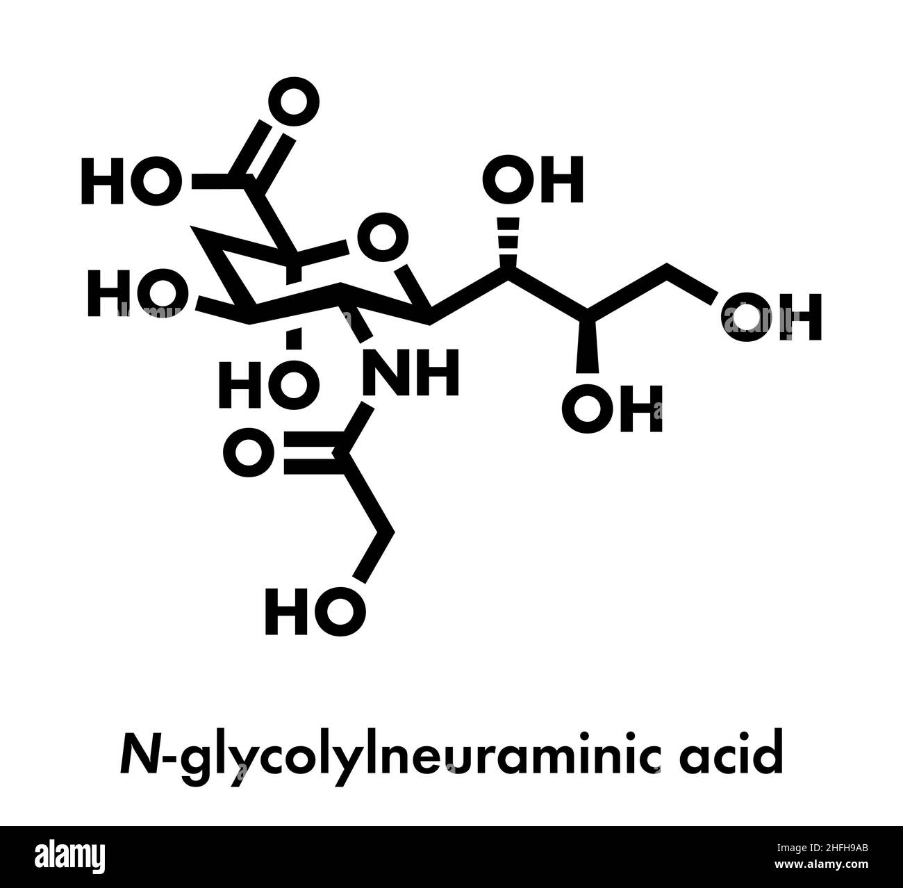 N Glycolylneuraminic Acid Neu5gc Molecule Sialic Acid Found In Most Mammals But Missing In