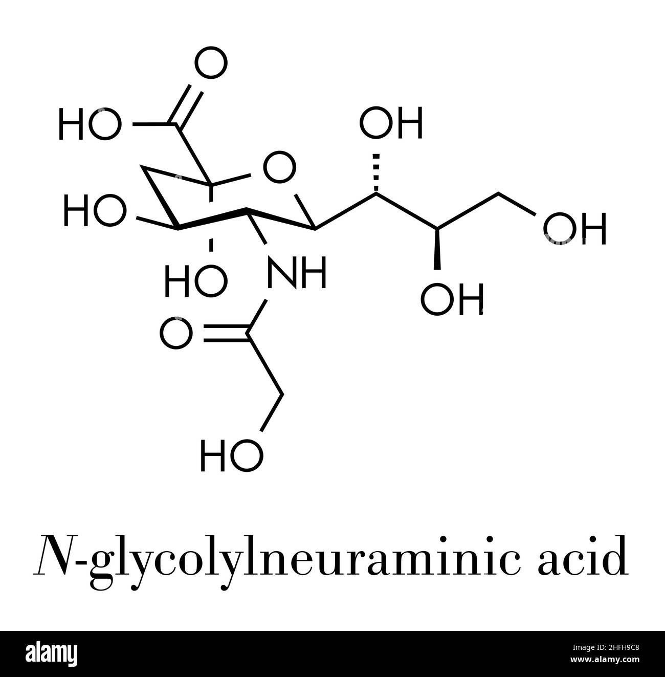 N-glycolylneuraminic acid (Neu5Gc) molecule. Sialic acid found in most ...
