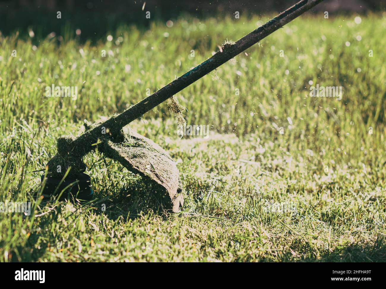 mowing a lawn fresh green grass Stock Photo - Alamy
