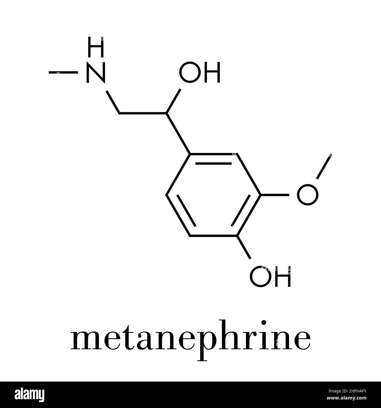 Metanephrine (metadrenaline) molecule. Metabolite of epinephrine that ...