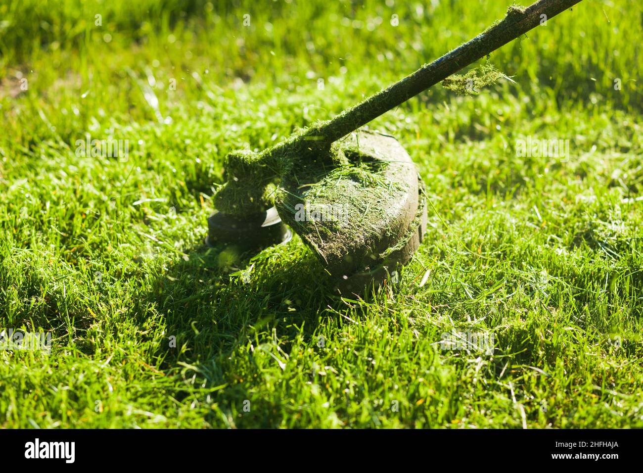 mowing a lawn fresh green grass Stock Photo - Alamy