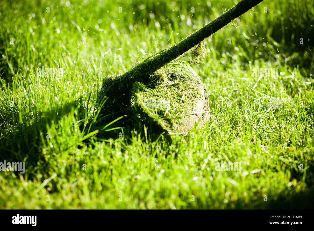 mowing a lawn fresh green grass Stock Photo - Alamy