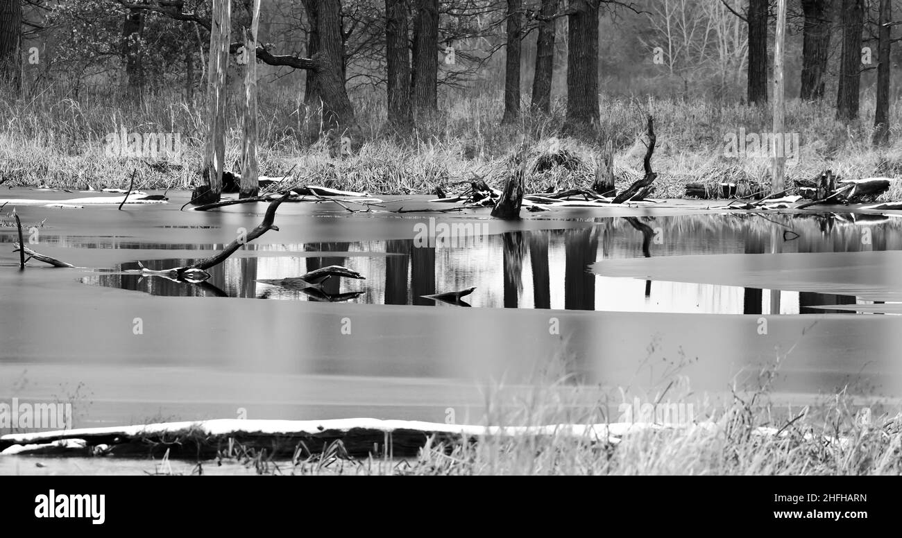 Beautiful pond Black and White Stock Photos & Images - Alamy