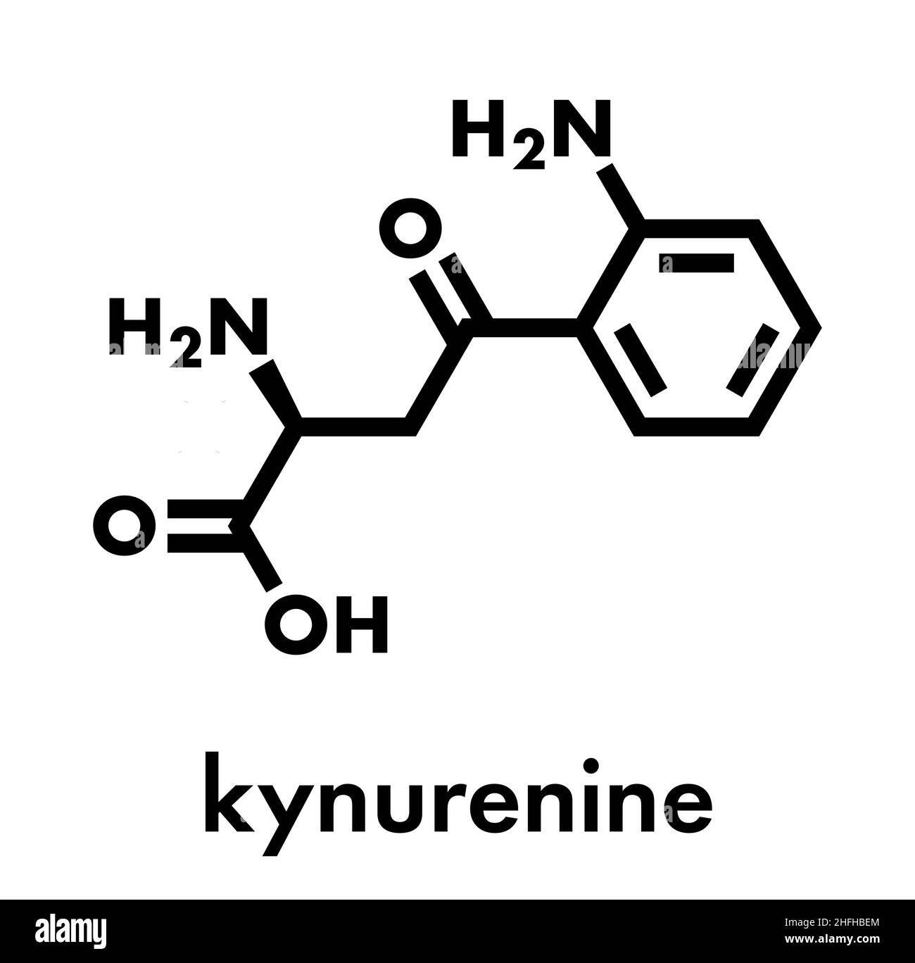 Kynurenine tryptophan metabolite molecule. Skeletal formula Stock ...