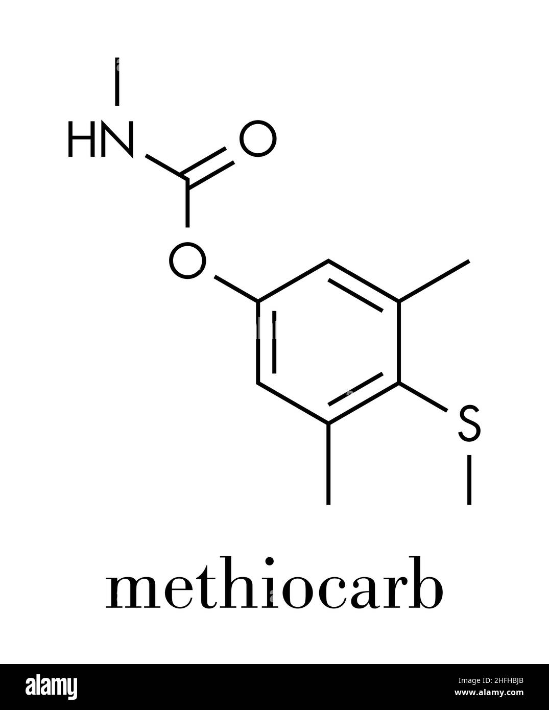 Bird skeletal structure Black and White Stock Photos & Images - Alamy