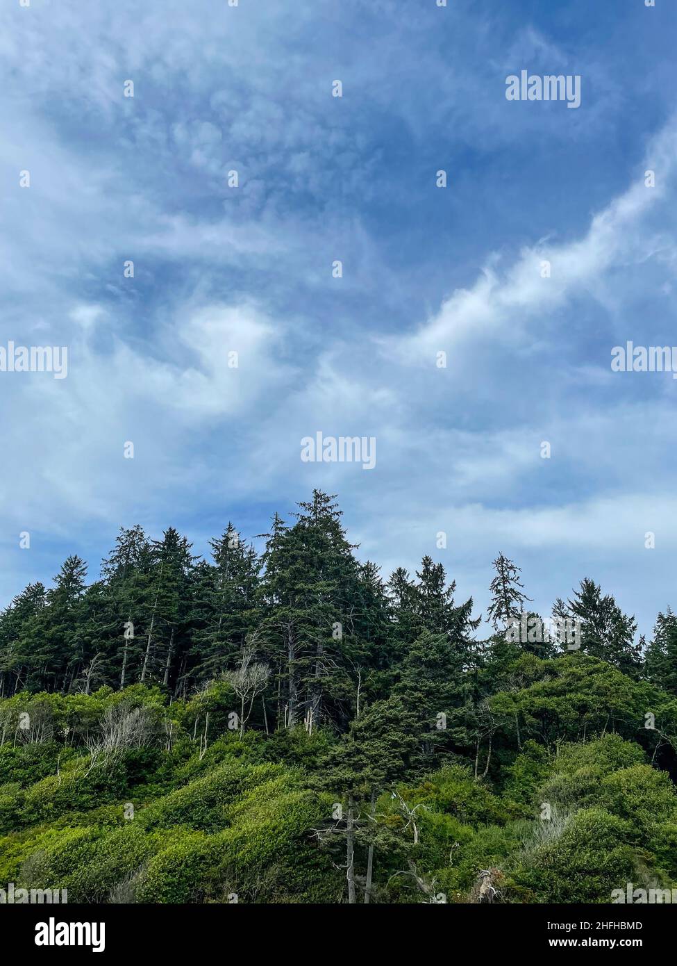 Ruby Beach is the northernmost of the southern beaches in the coastal ...