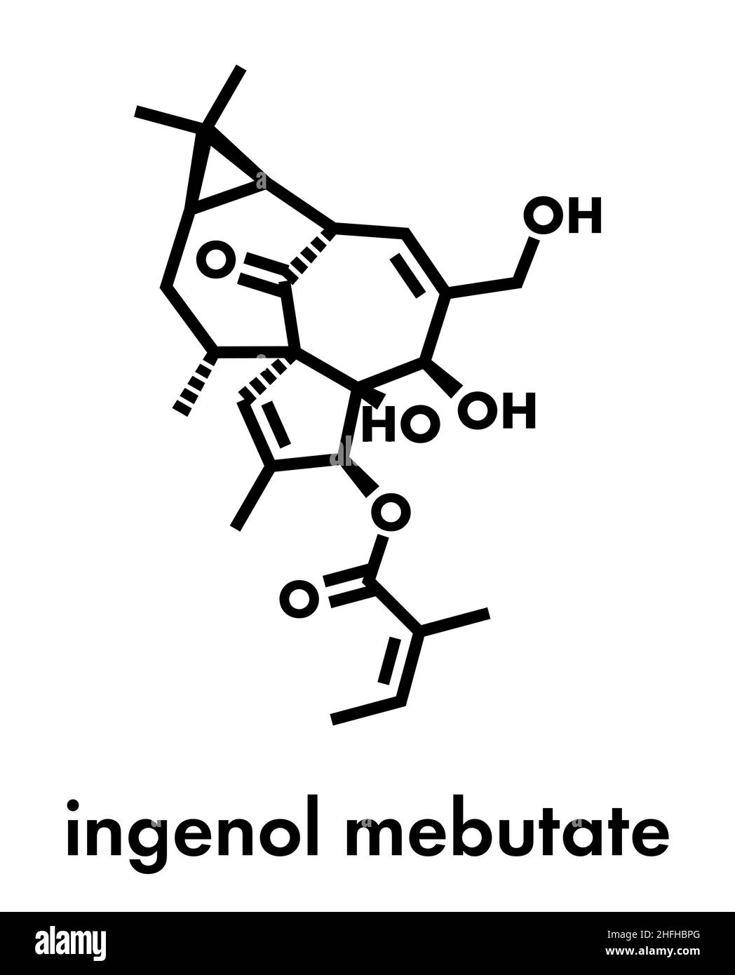 ingenol mebutate (ingenol-3-angelate) actinic keratosis treatment drug ...