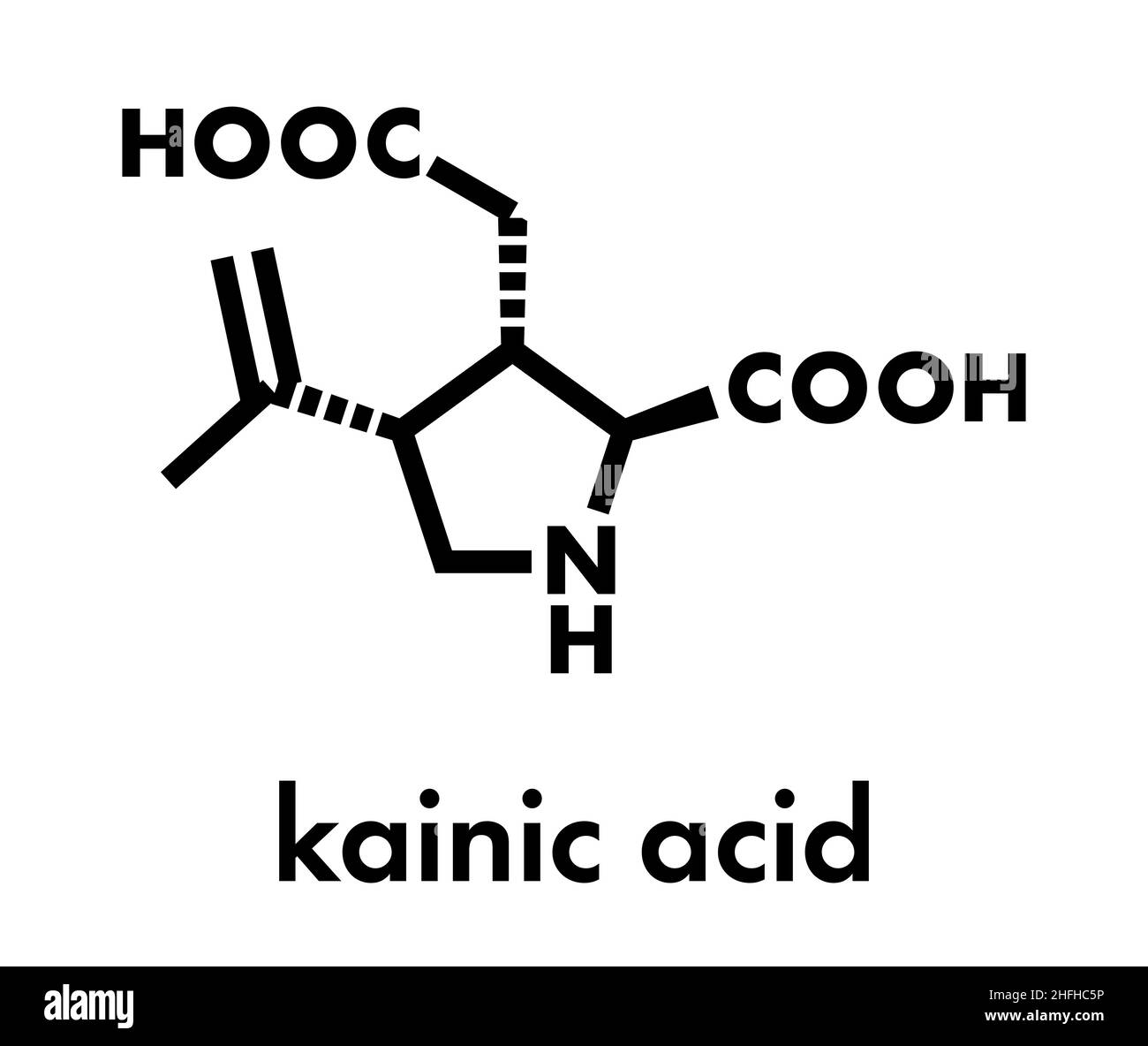 Kainic acid molecule. Direct agonist of the glutamic kainate receptors ...