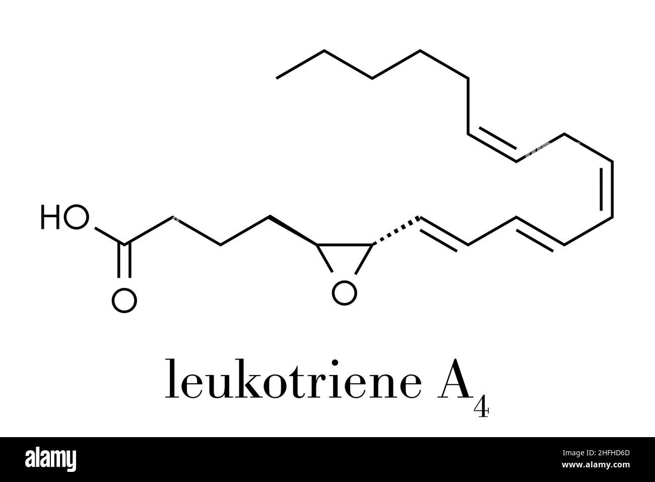 leukotriene A4 (LTA4) molecule. Skeletal formula Stock Vector Image ...