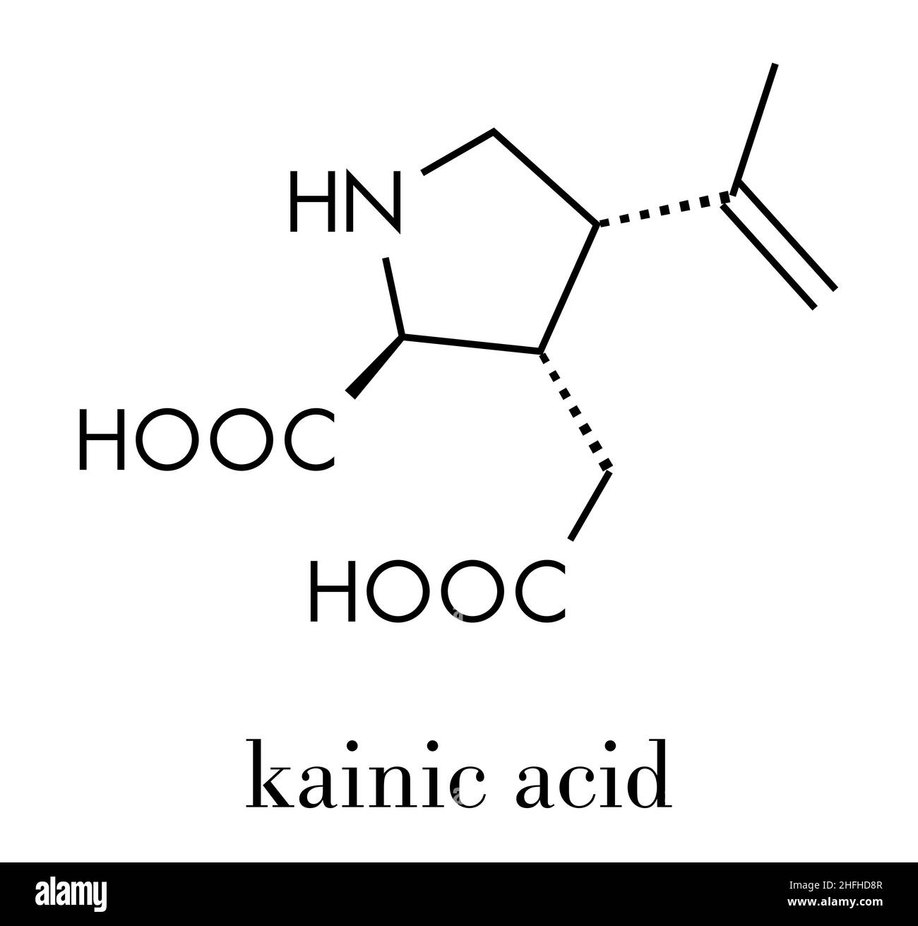 Kainic acid molecule. Direct agonist of the glutamic kainate receptors ...